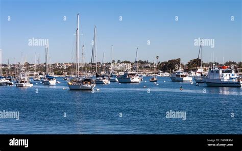 Boats Moored In Crowded Newport Beach Harbor With City Landscape