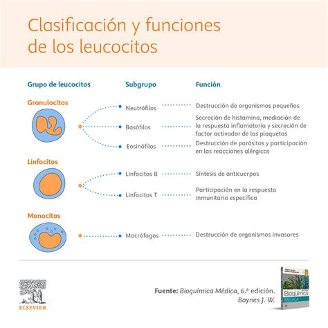 🤓clasificaciÓn Y Elsevier Para Estudiantes De Medicina