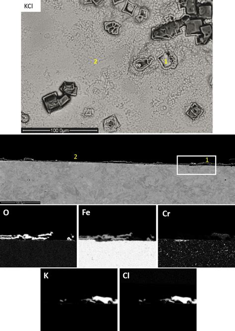 Plan View Sembse And Cross Sectional Semedx Analysis Of Fe 225cr 1mo Download Scientific