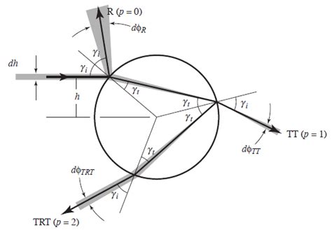 Marschner Real Time Hair Simulation And Rendering