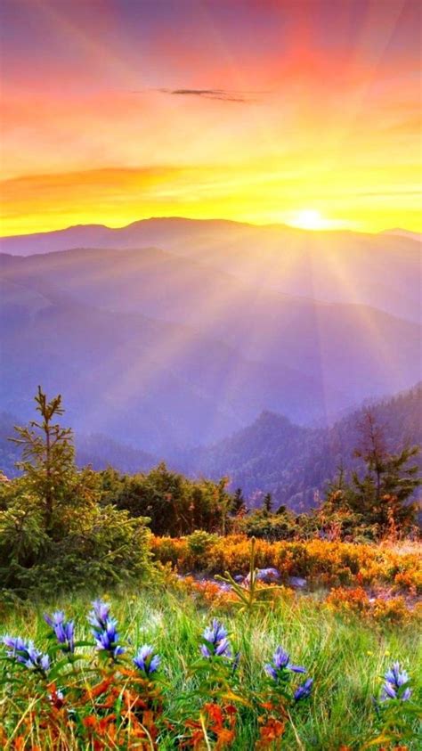 Fazal Karim Fazal Karim Posted On Linkedin