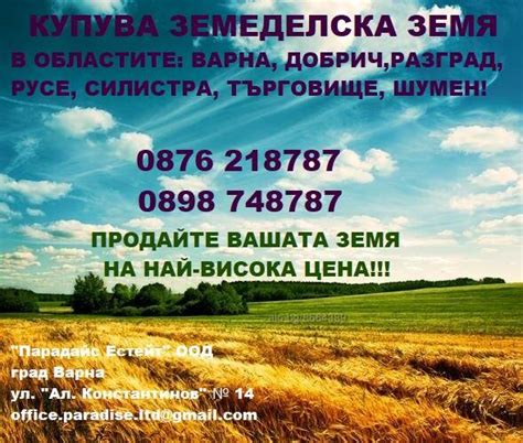 Купува земя в област Разград Най добрите цени за Вашите земи Купува имоти Разград