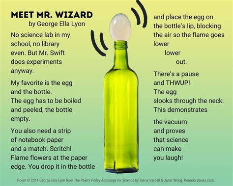 Meet Mr Wizard Fun Stem Poem