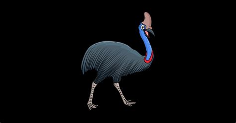 Happy Cassowary Bird Cartoon Illustration Happy Cassowary Bird