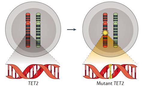 The Under Appreciation Of CHIP By Eric Topol
