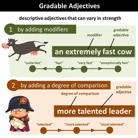 Gradable Adjectives Explanation And Examples