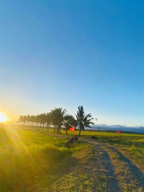 Farm Lot For Sale Location Baler Quinie Barrientos Facebook