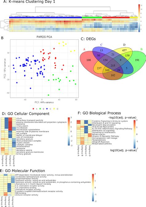 Nasal Transcriptomic Classification In PARDS Subjects A Nasal Download Scientific Diagram
