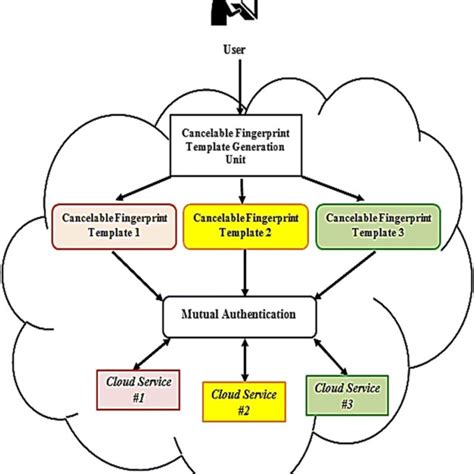 User Authentication In Cloud Computing Scenario Using Plain Biometric