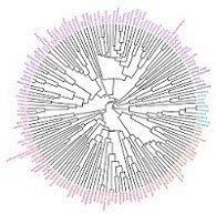 Clustering Problems In Machine Learning Brainalystacademy