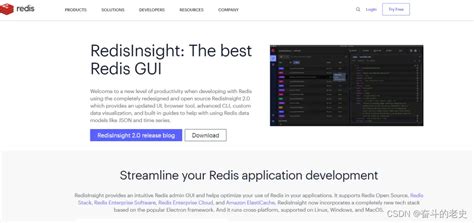 redis官方客户端 redisinsight v2 redisinsight v2 csdn博客