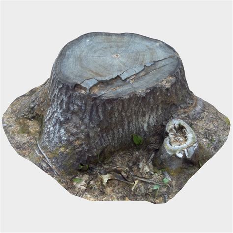 나무 그루터기 2 레벨 탑 3d 모델 16 3ds Blend Dxf Fbx Max Obj Stl Wrl