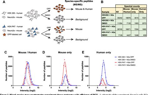 Figure 3 From Cell Typespecific Labeling Of Newly Synthesized Proteins