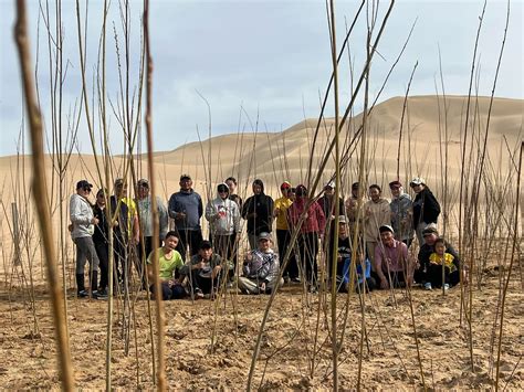 Хонгорын голд мод тарих ажлыг зохион байгуулав