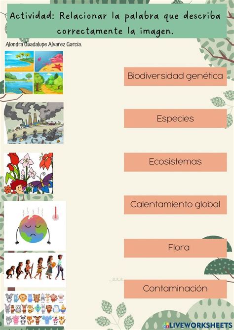 Ejercicio De El Valor De La Biodiversidad Ciencias De La Naturaleza