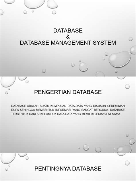 database and database management system pdf