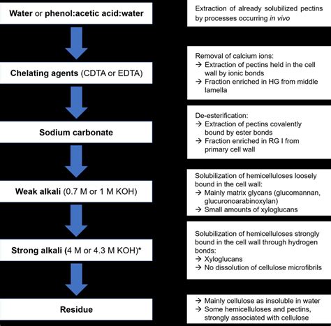 Steps During Sequential Extraction Of The Plant Cell Wall Download