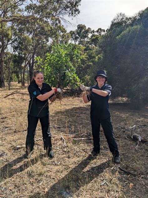 Education Invasive Speceis