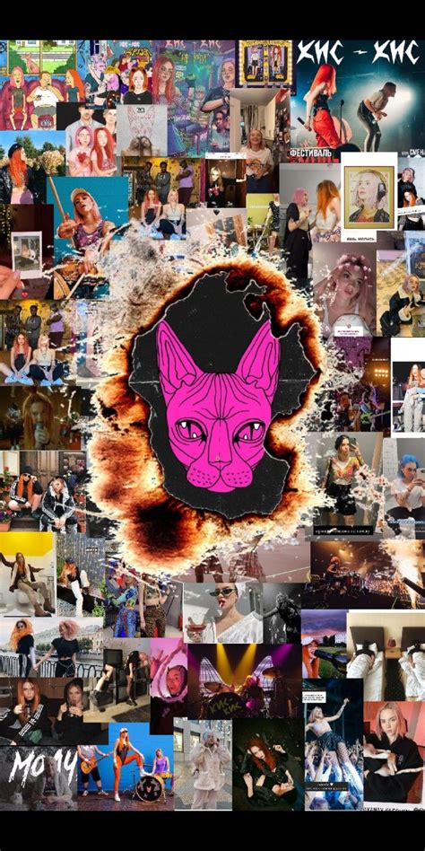 Кис кис Постеры групп Картинка доски Обои