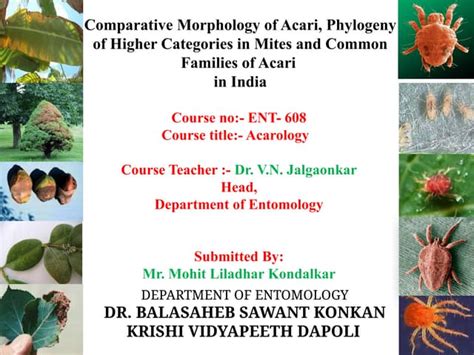 Comparative Morphology Of Acari Phylogeny Of Higher Categories In Mites And Common Families Of