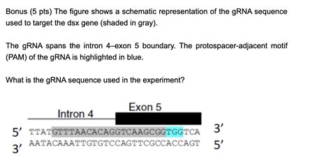 Solved Bonus 5 Pts The Figure Shows A Schematic