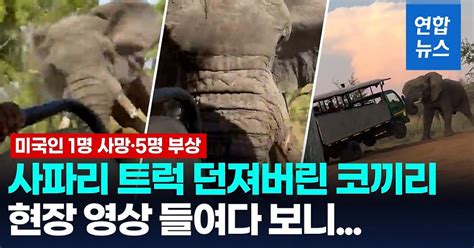 영상 코끼리가 사파리 트럭 뒤쫓더니 상아로80세 여성 관광객 사망