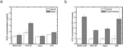 Secretion Of Hcg Of Four Different Placental Cell Lines A Apical And