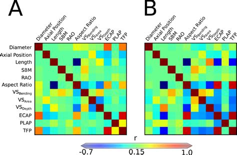 Symmetric Correlation Maps Contrasting Morphological Both Direct And