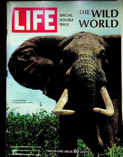 LIFE MAGAZINE 1967 Double Issue WILD WORLD The Outback Naked Ape