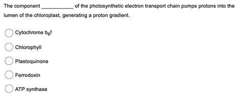 Solved The Componentof The Photosynthetic Electron Transport