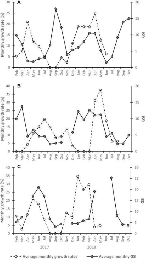 Frontiers Different Life Strategies Of The Three Commercially Exploited Scallop Species Living