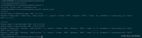 2 triton 项目编译运行 triton inference 编译教程 csdn博客