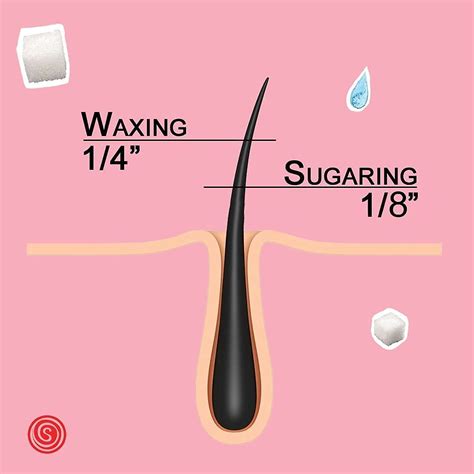 Buy Sugar Wax For Bikini Brazilian Legs Arms Kit With Anti Ingrown