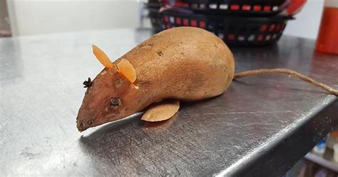 Cake Day Dump While I Sit On The Toilet Dumping The Cake I Ate