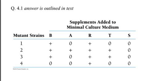 Genetics Exam 2 Flashcards Quizlet