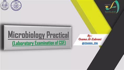 Microbiology Laboratory Examination Of Csf Pdf