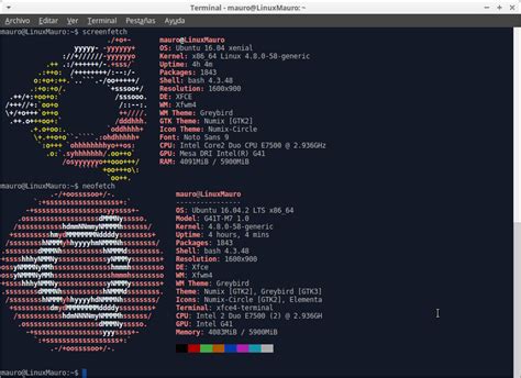 Terminal Neofetch And Screenfetch 2 Herramientas Para Consultar La Información Del Sistema En