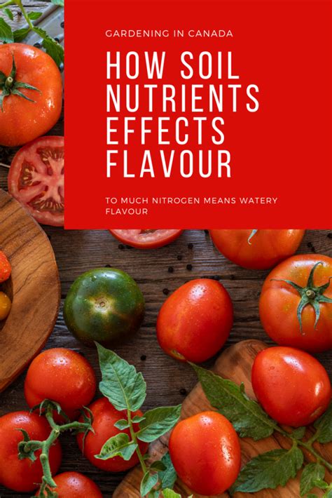 How Soil Nutrients Affect The Flavour Of Fruit A Scientific Overview Gardening In Canada