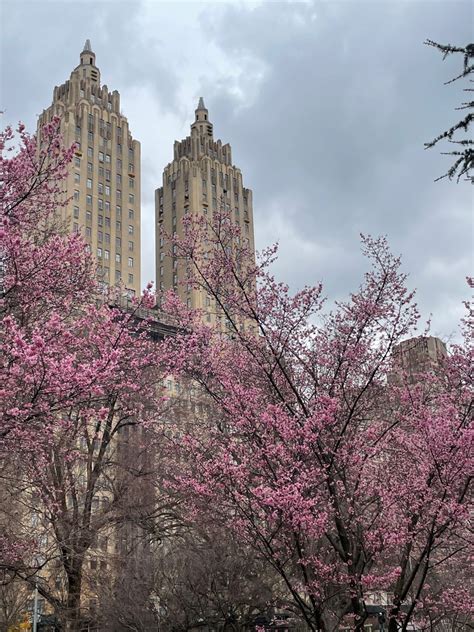 Jen Dombkowski On Linkedin Jobseeker Brandmanagement Digitalmarketing Cpg Fmcg Foodbusiness…