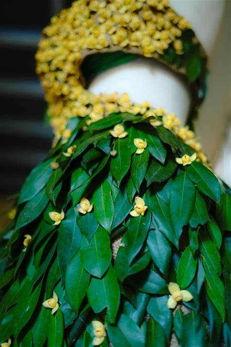 មិនប្លែកមិនហៅ រំដួល លិចទឹក ពេលនេះលោក យក«ផ្ការំដួល តំណាងជាតិ មកច្នៃជារ៉ូបពិតជាស្អាតខ្លាំង