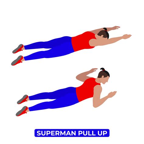 Vector Man Doing Superman Pull Up Bodyweight Fitness Back And Core