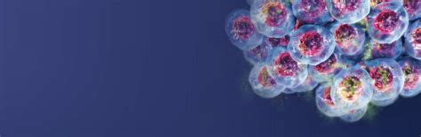Celltiter Glo® 3d Cell Viability Assay