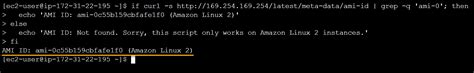 Getting Started With Ec2 Metadata And User Data