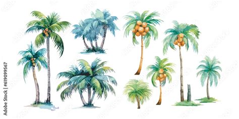 Watercolor Coconut Tree Clipart For Graphic Resources Stock Vector