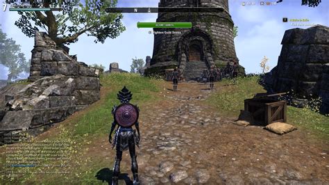 Request Hide Shield Option — Elder Scrolls Online