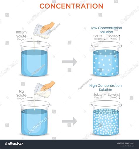 Concentration Solutions Measure Solute Amount Solvent Stock Vector Royalty Free 2545716043