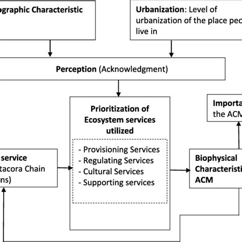 Conceptual Framework On The Link Between Socio Demographic Factors Download Scientific Diagram