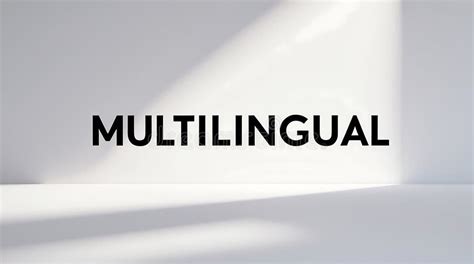 Text Showcasing The Term Multilingual In A Modern Style With Shadow Play Stock Illustration