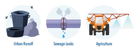 Understanding Point And Nonpoint Source Pollution
