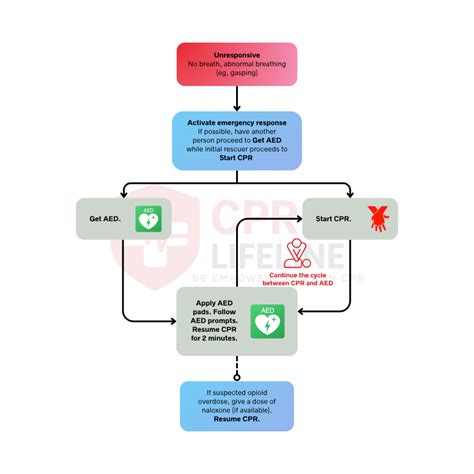Bls Algorithm New Updated Aha Guidelines 2025